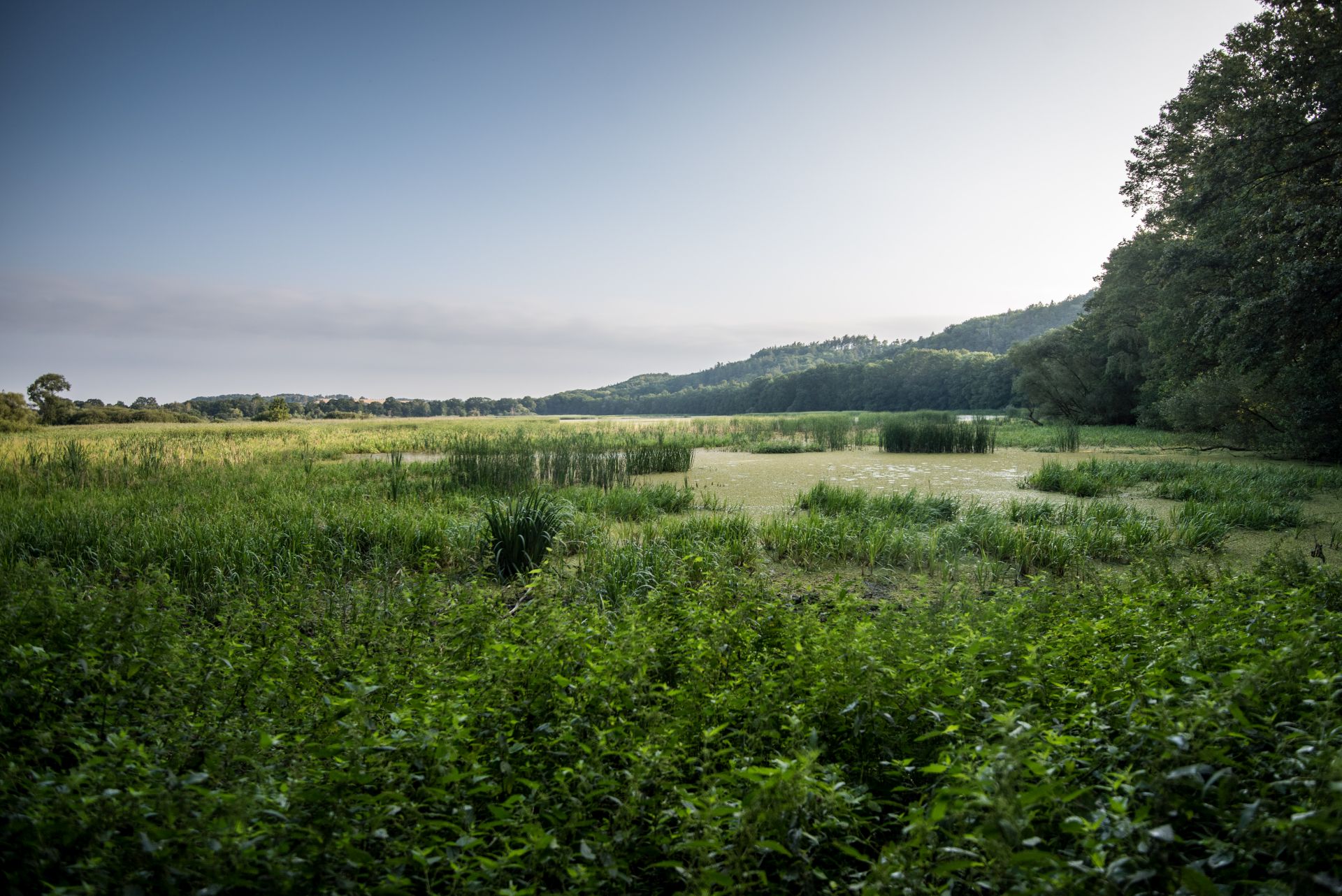 Specially Protected Areas - EGCEGC