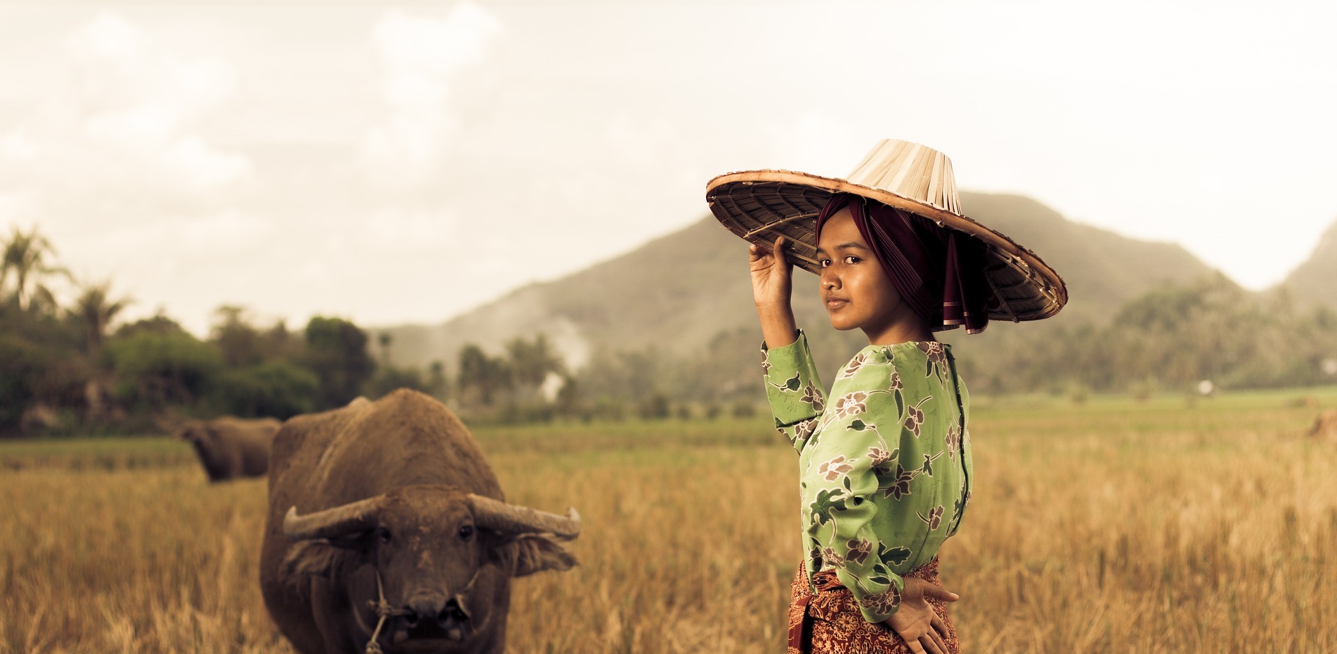 Ostrava Zoo helps protect endangered animals in Sumatra - EGCEGC